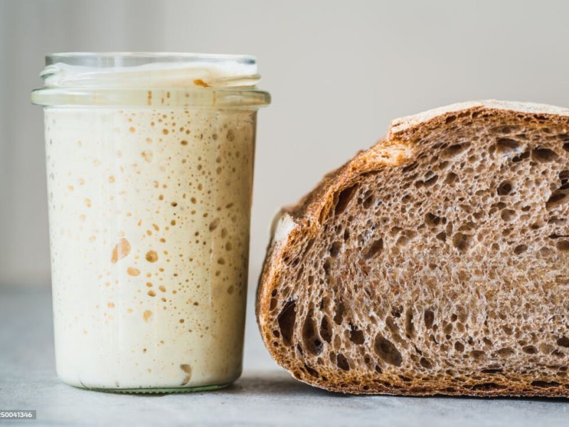 AI in Baking vs. Cooking: Exploring the Differences – YUM TA DAM